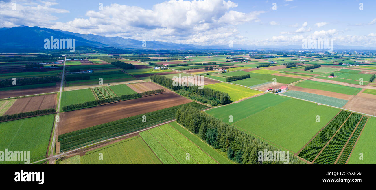 Aerial view of Tokachi Plain, Memuro-cho, Kasai-gun, Hokkaido, Japan ...
