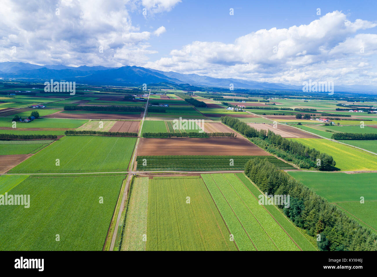 Aerial view of Tokachi Plain, Memuro-cho, Kasai-gun, Hokkaido, Japan ...