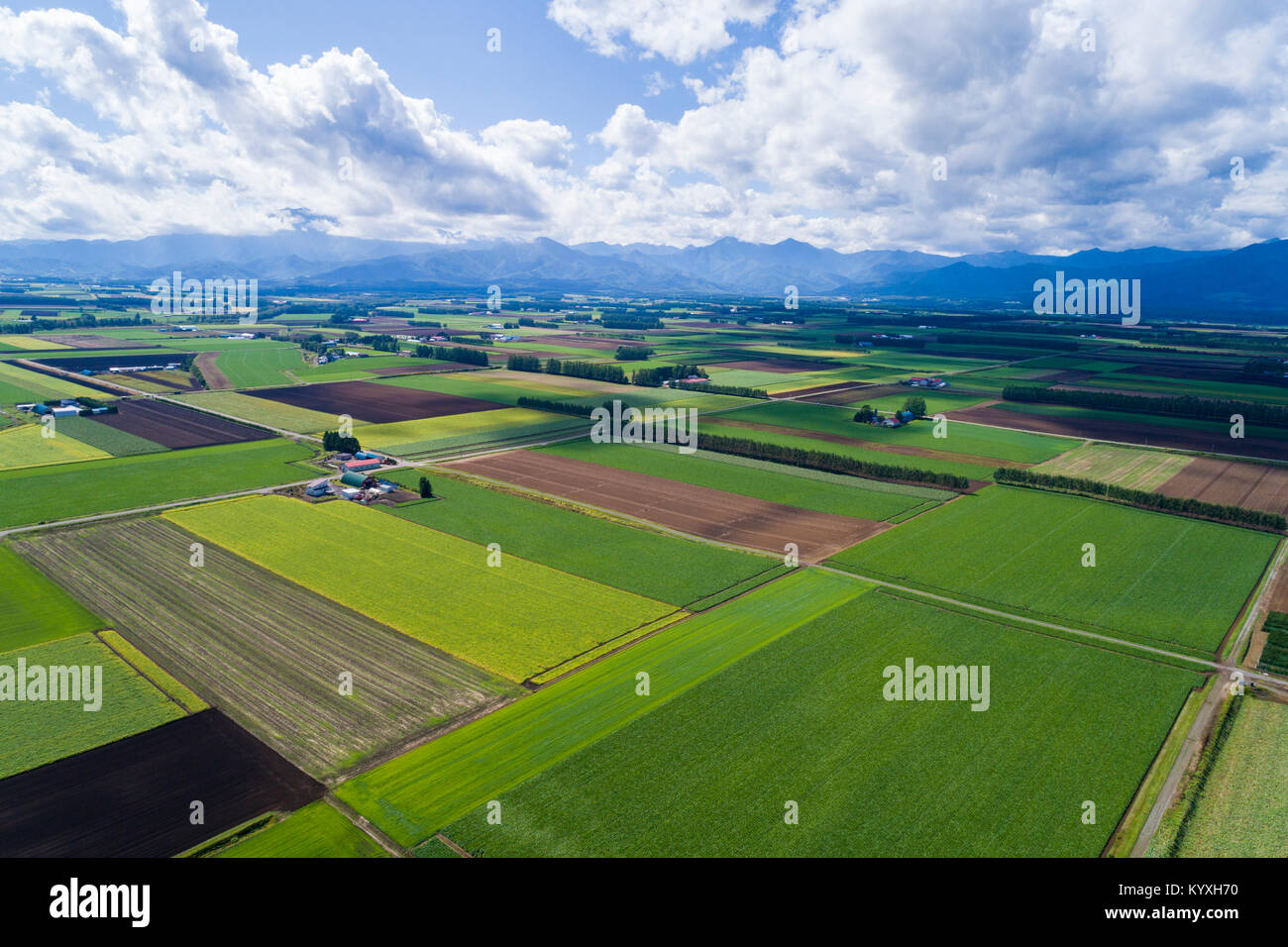 Aerial view of Tokachi Plain, Memuro-cho, Kasai-gun, Hokkaido, Japan ...