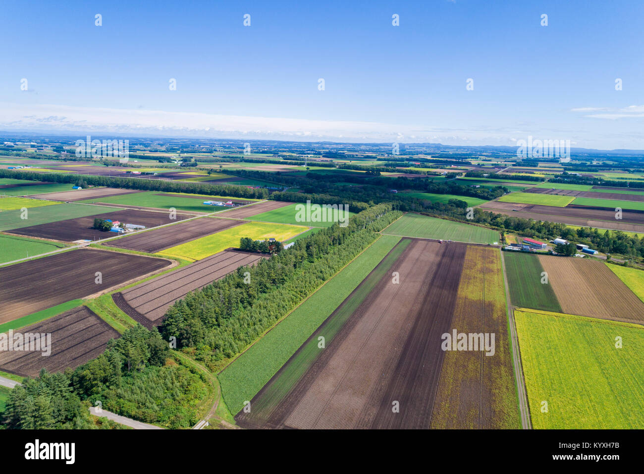 Aerial view of Tokachi Plain, Memuro-cho, Kasai-gun, Hokkaido, Japan ...