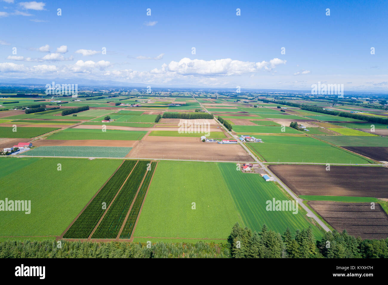 Aerial view of Tokachi Plain, Memuro-cho, Kasai-gun, Hokkaido, Japan ...