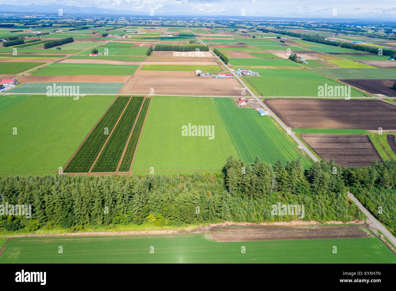 Tokachi plain hi-res stock photography and images - Alamy