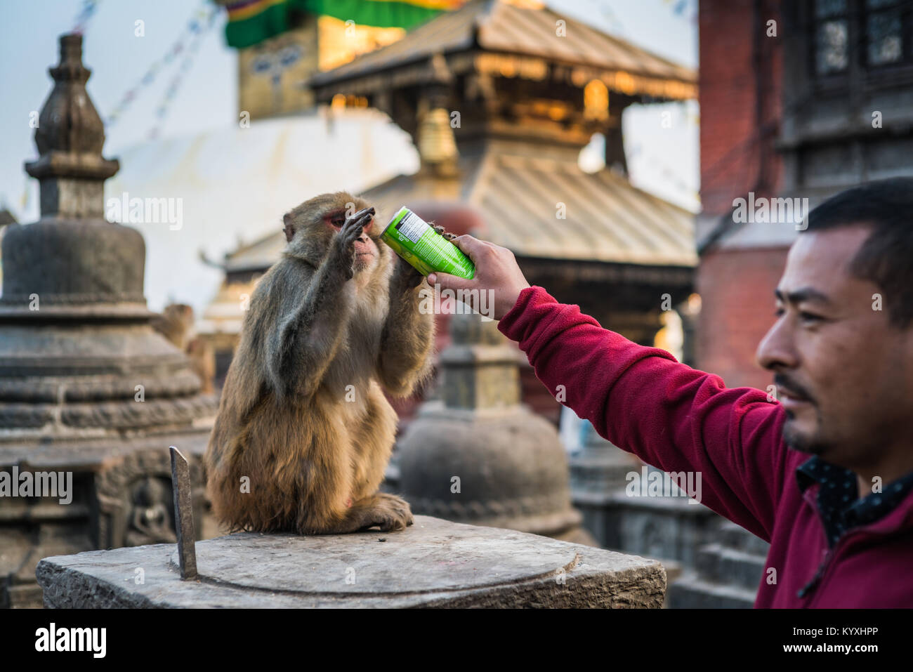 Swoyambhu Stupa (Monkey temple), Kathmandu, Nepal, Asia Stock Photo - Alamy