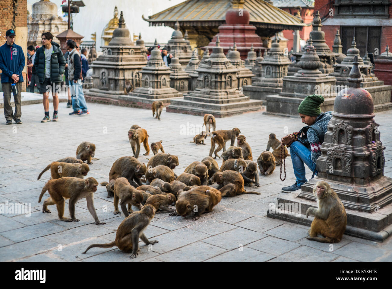 Swoyambhu Stupa (Monkey temple), Kathmandu, Nepal, Asia Stock Photo - Alamy
