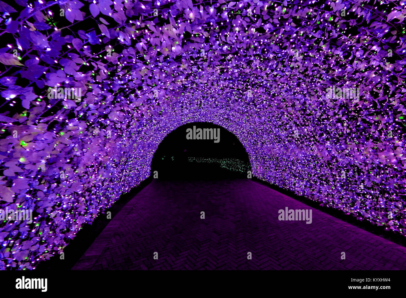 tunnel of light Tunnel or illumination lights in the winter. Nabana no ...