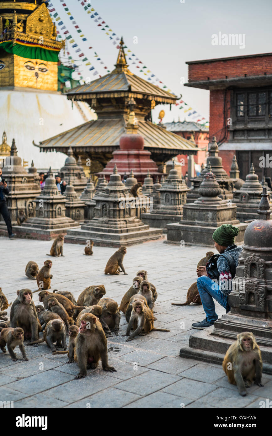 Swoyambhu Stupa (Monkey temple), Kathmandu, Nepal, Asia Stock Photo - Alamy
