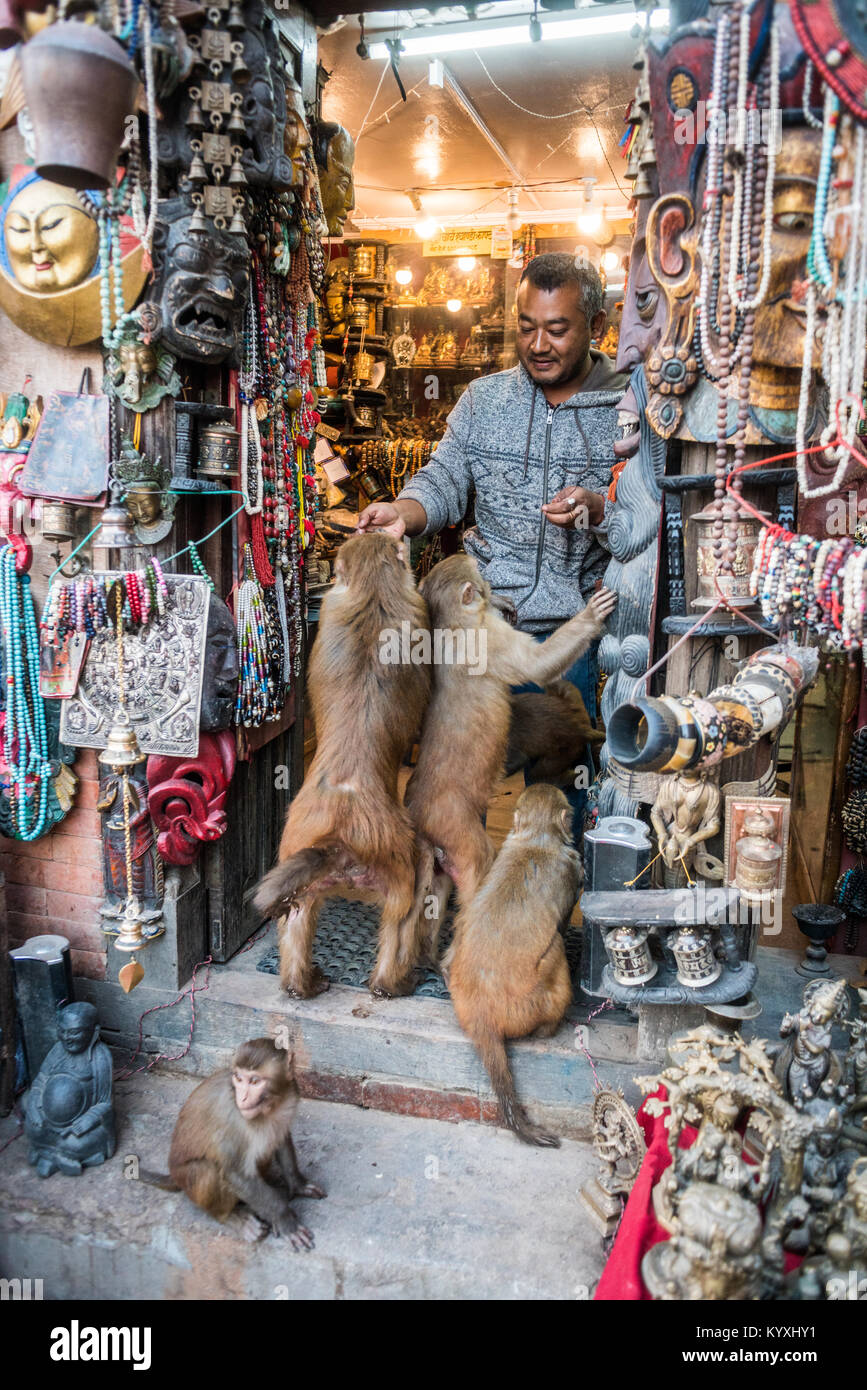 Swoyambhu Stupa (Monkey temple), Kathmandu, Nepal, Asia Stock Photo - Alamy