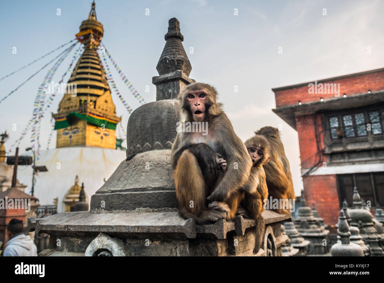 Swoyambhu Stupa (Monkey temple), Kathmandu, Nepal, Asia Stock Photo - Alamy