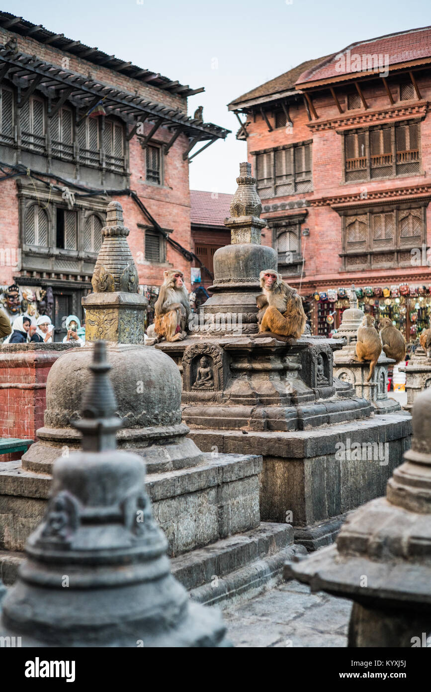 Swoyambhu Stupa (Monkey temple), Kathmandu, Nepal, Asia Stock Photo - Alamy
