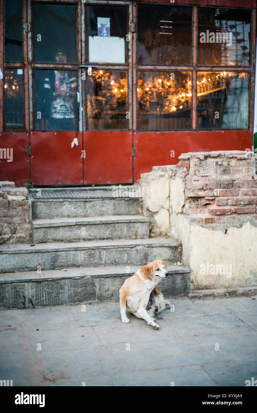 Local people nad tourists in the Swayambhunath Stupa, Kathmandu, Nepal ...