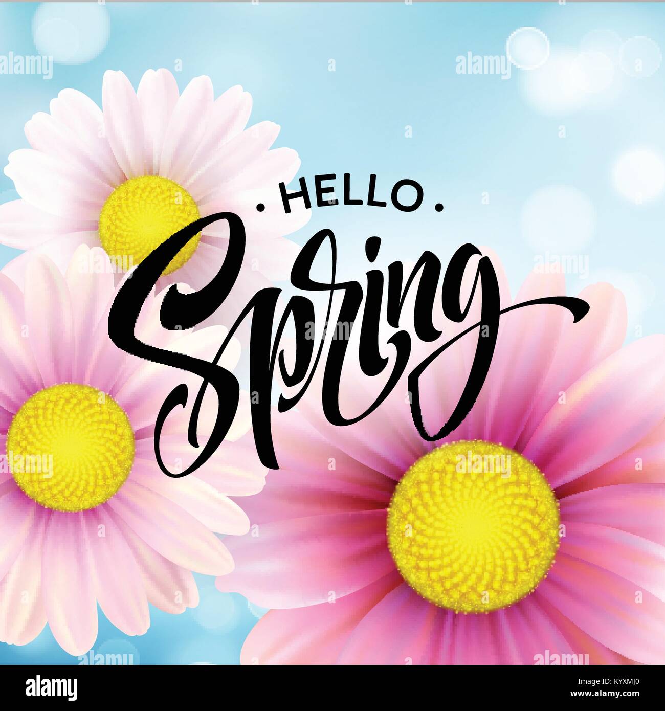Daisy Flower Background and Hello Spring Lettering. Vector Illustration ...