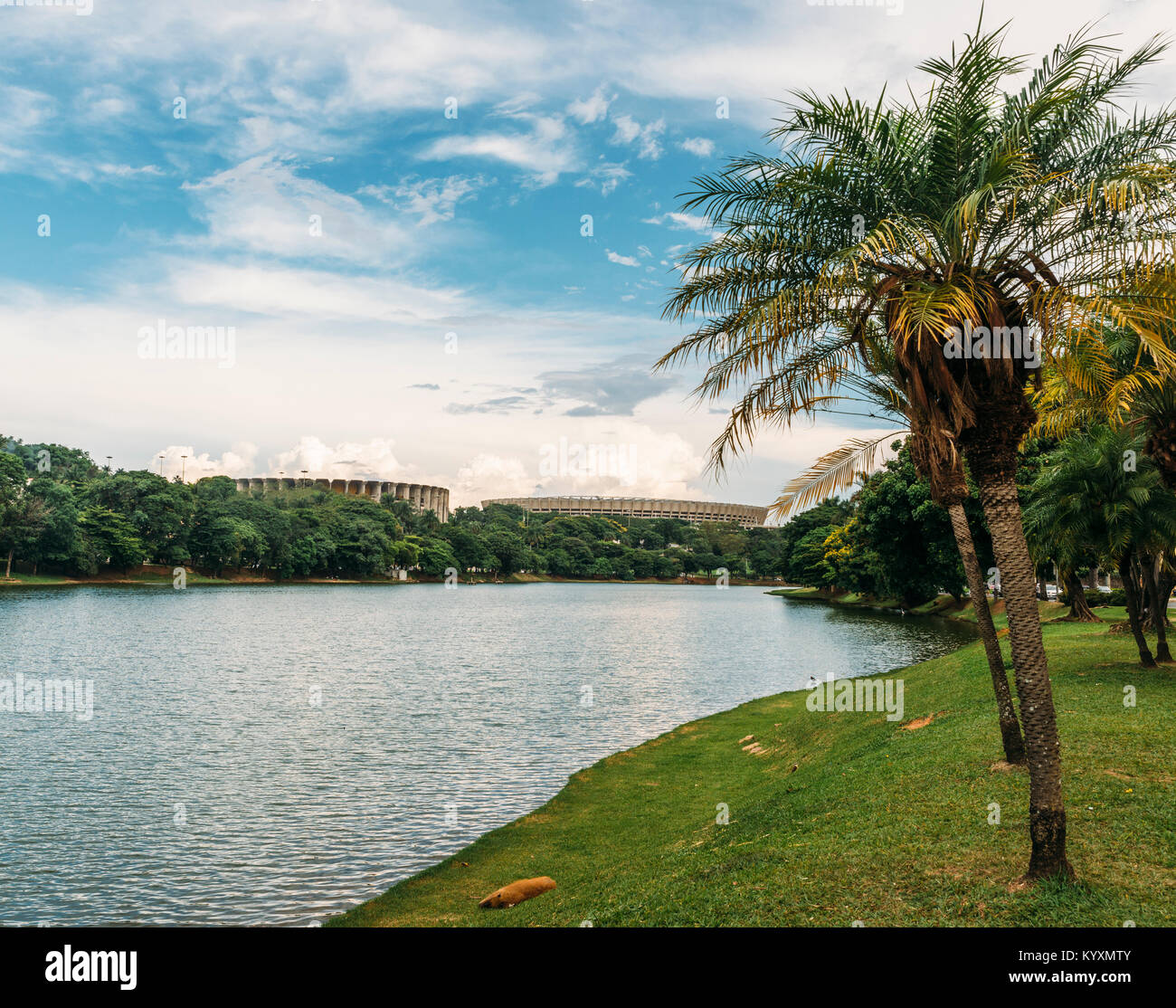 Mineirinho arena hi-res stock photography and images - Alamy