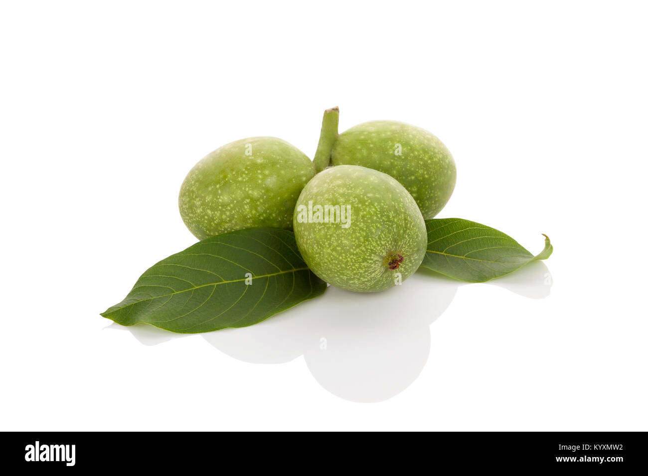 Whole ripe green wallnuts in nut shell isolated on white background ...