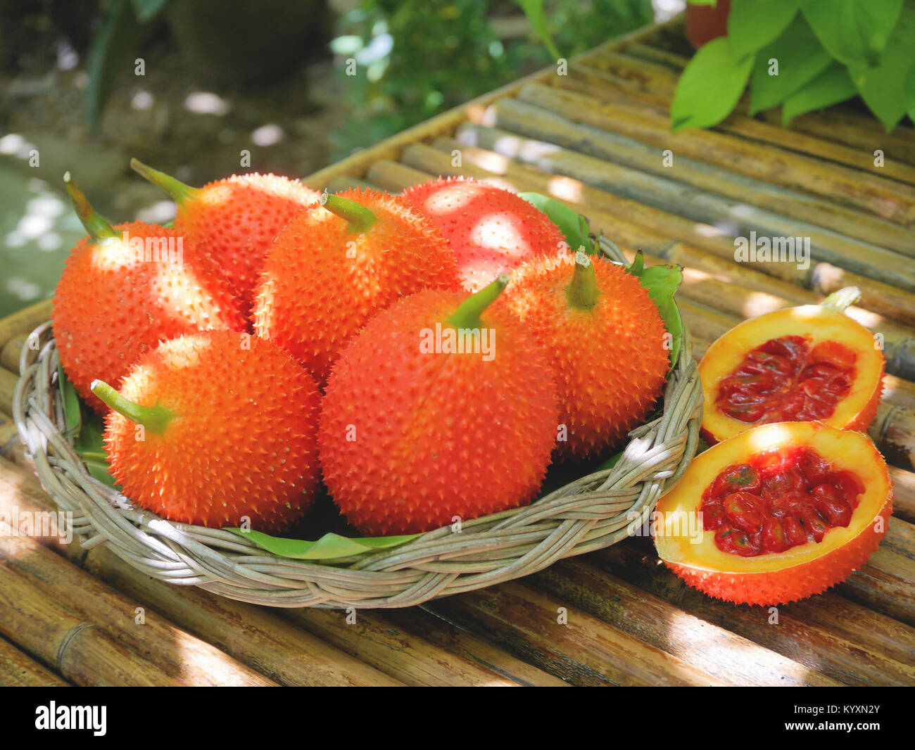 Baby jackfruit hi-res stock photography and images - Alamy