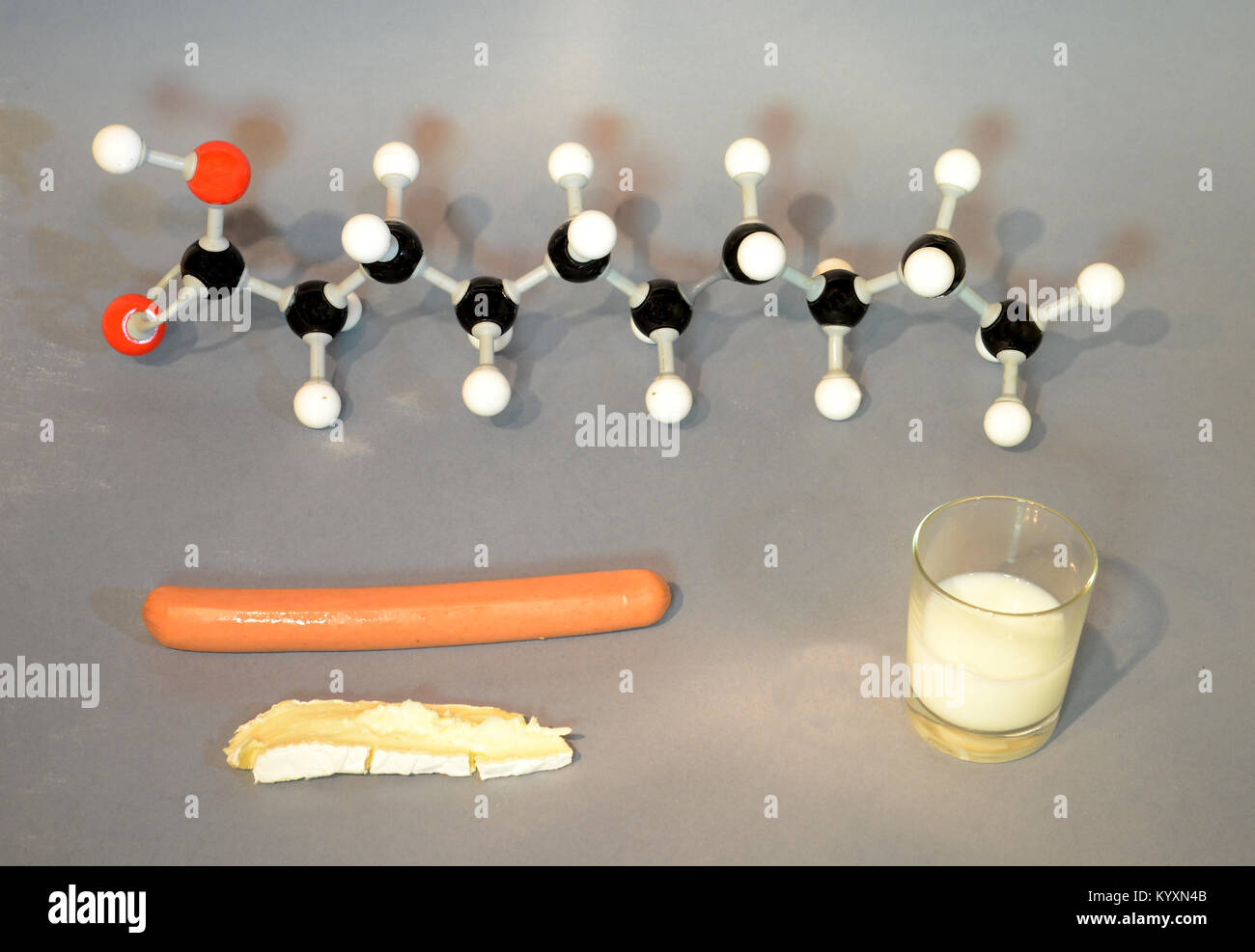 Molecule model of oleic acid with food samles contaioning this type of ...