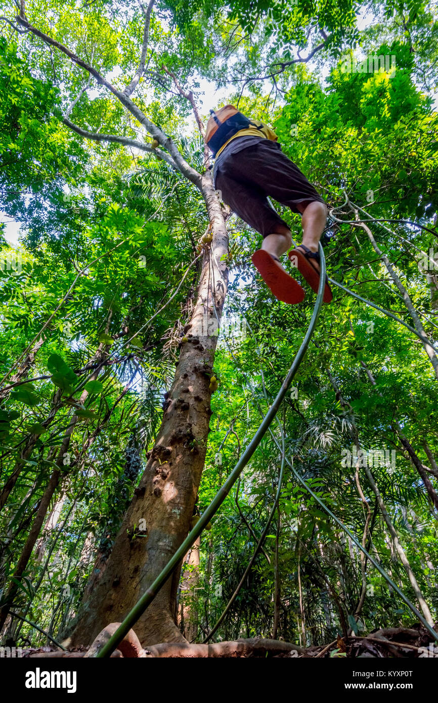 Tarzan swinging from rope hi-res stock photography and images - Alamy