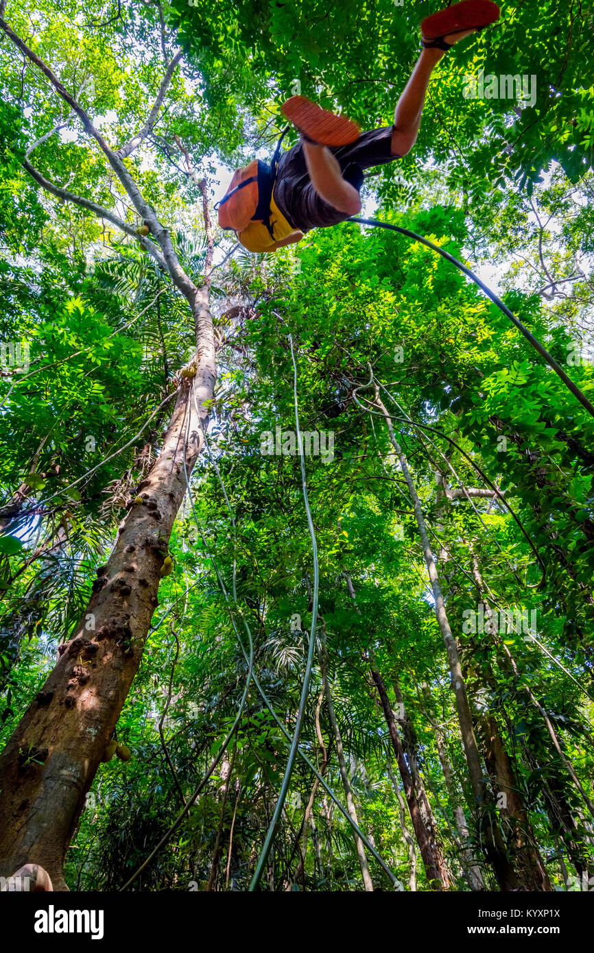 Tarzan swinging from rope hi-res stock photography and images - Alamy
