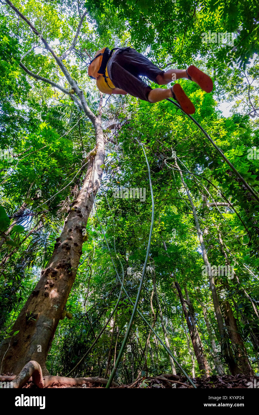 Tarzan swing hi-res stock photography and images - Alamy