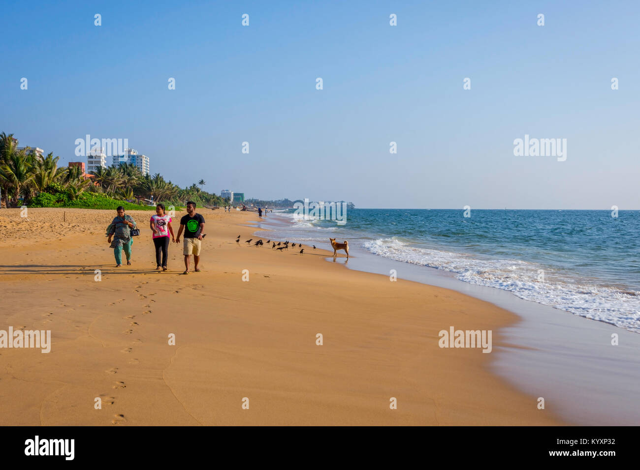 COLOMBO, SRI LANKA - FEBRUARY 12: People on sandy beach in Colombo ...