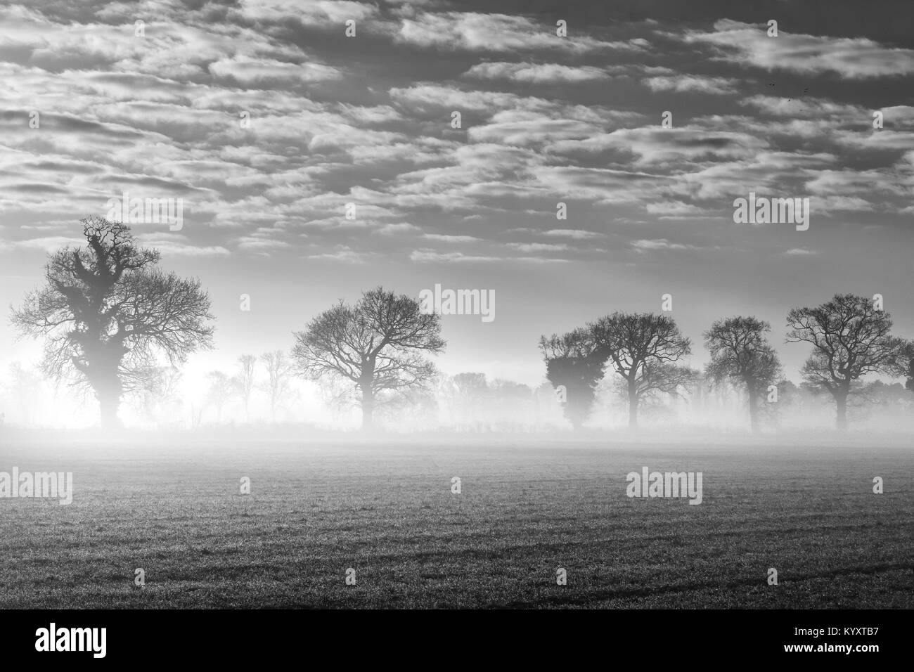 Sunrise on a cold frosty morning with a mist on the ground Stock Photo ...