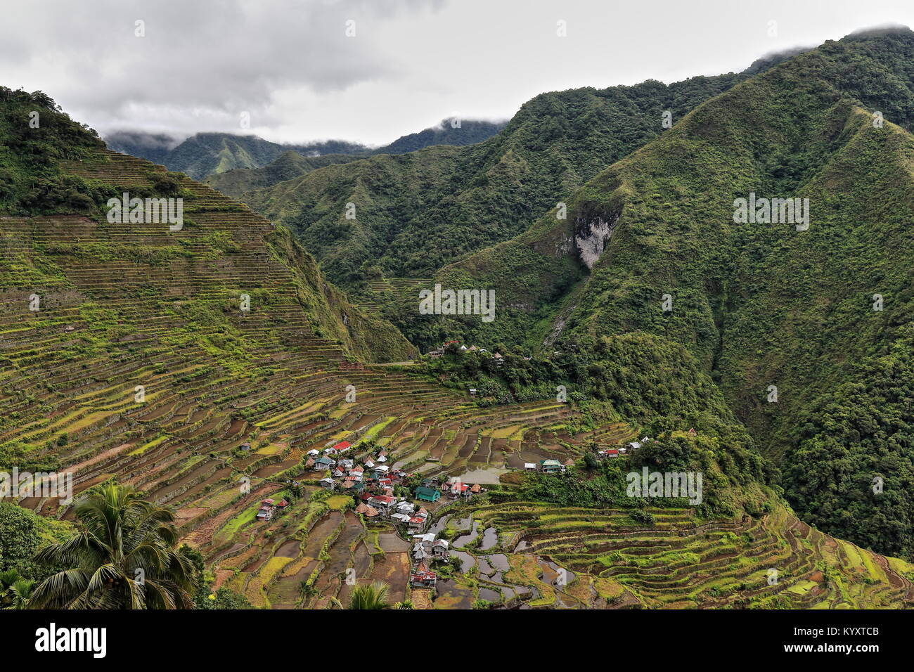 The Batad village cluster-part of the Rice Terraces of the Philippine ...