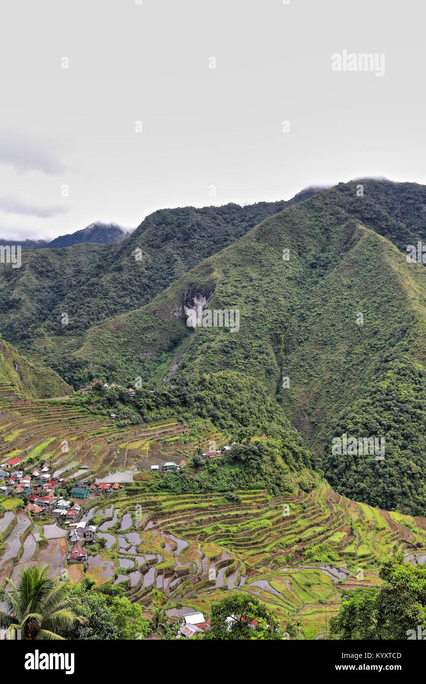 The Batad village cluster-part of the Rice Terraces of the Philippine ...