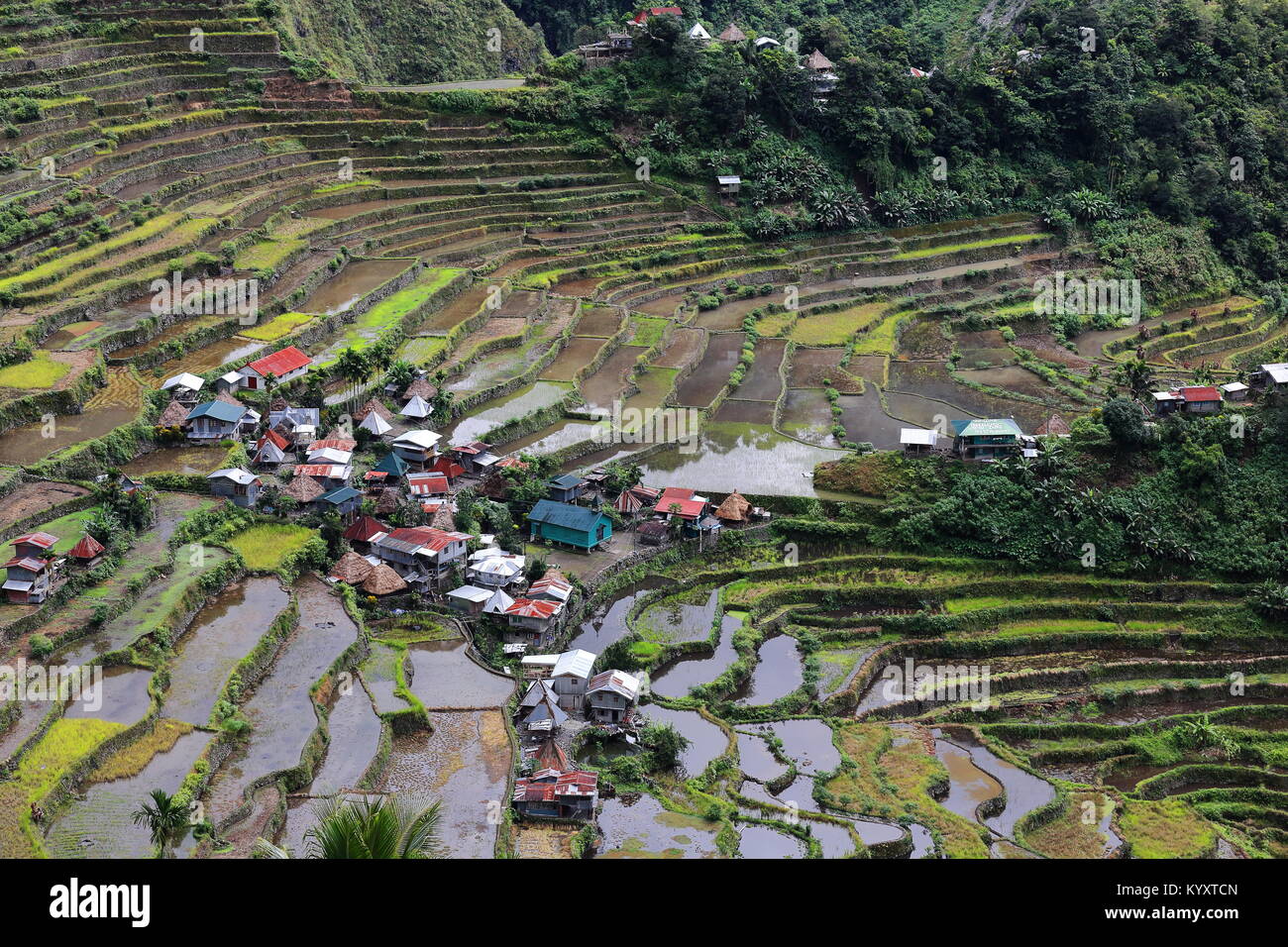 The Batad village cluster-part of the Rice Terraces of the Philippine ...