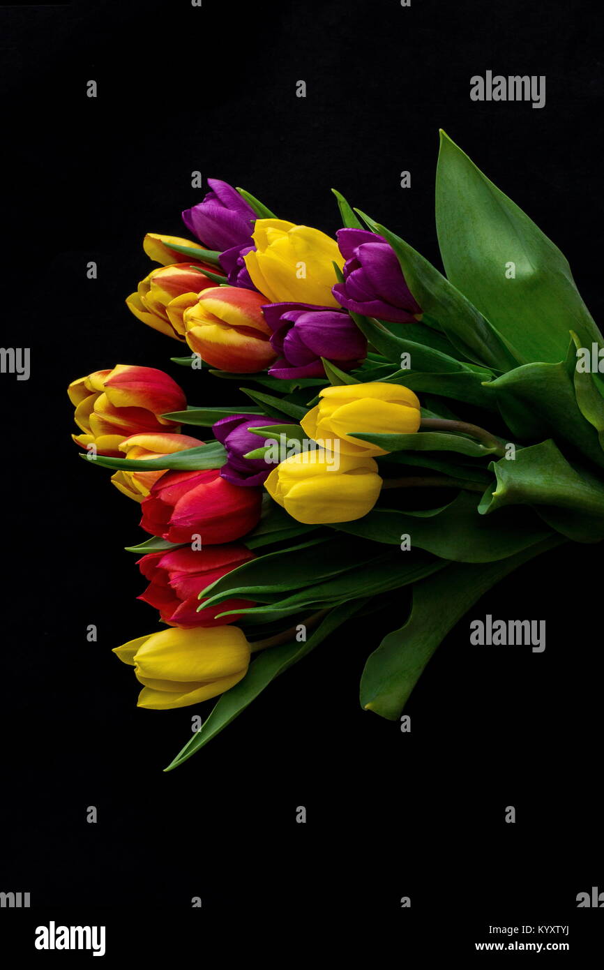 bunch of tulip Stock Photo - Alamy