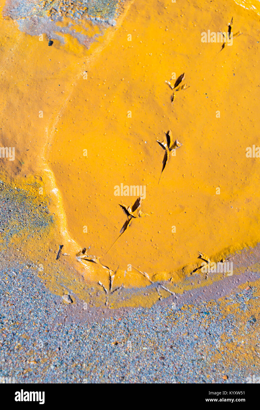 Footprints, Río Tinto - Red River, Sierra Morena, Gulf of Cádiz, Huelva ...