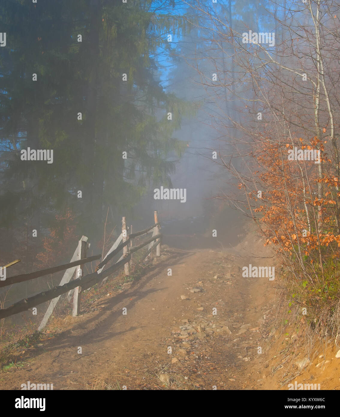 Countryside road trough the misty forest in the sunshine morning Stock ...