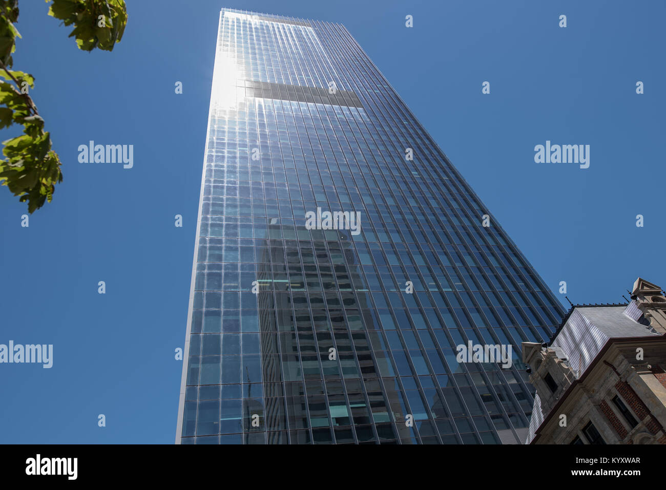 Perth dog beach hi-res stock photography and images - Alamy