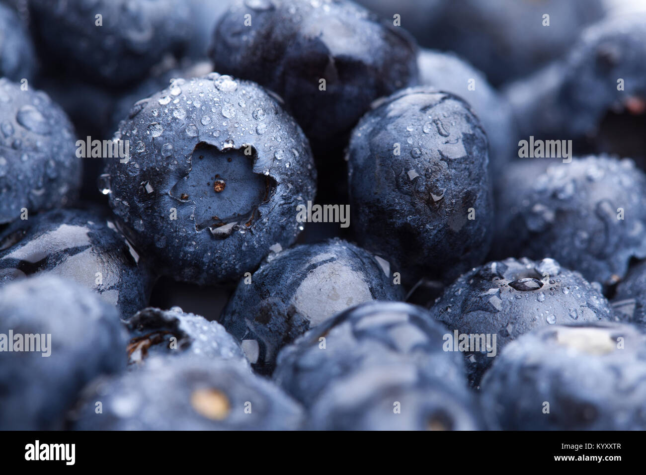 Wet fresh Blueberry background Stock Photo - Alamy