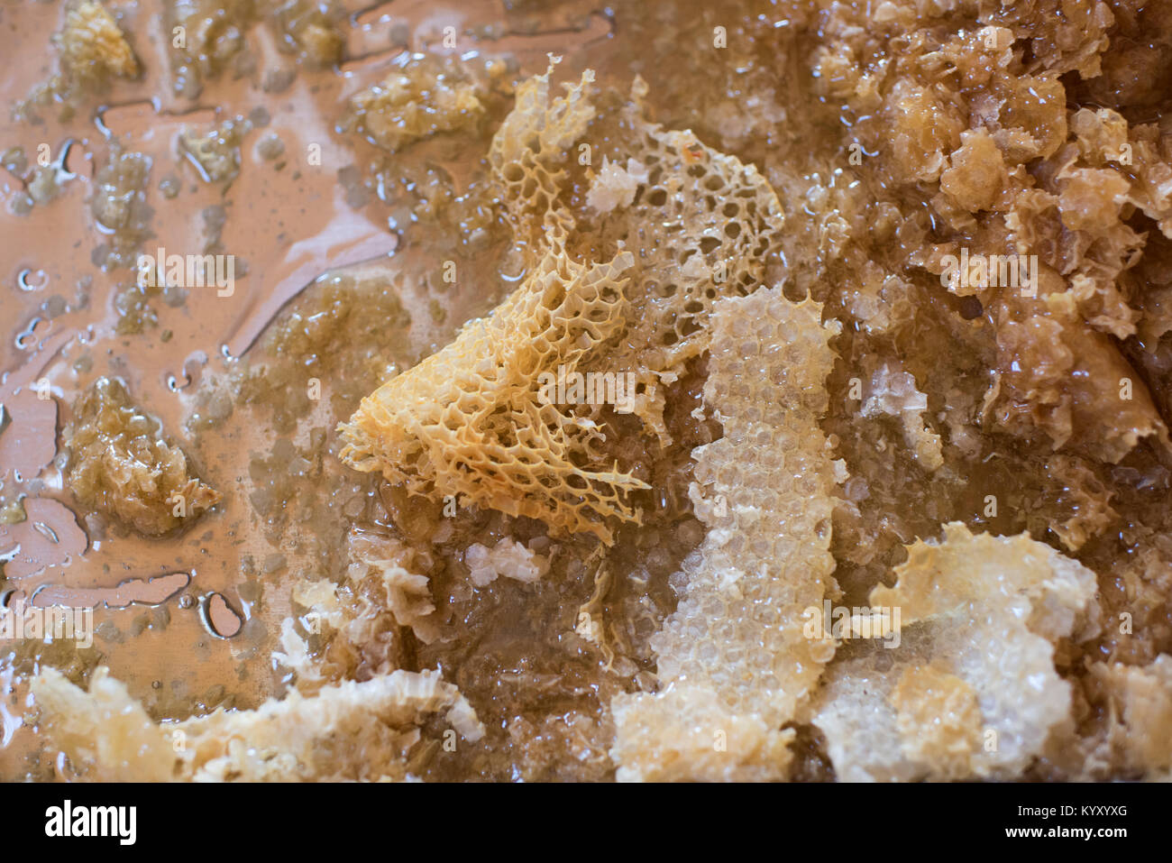 High angle view of honeycomb on metallic structure Stock Photo - Alamy