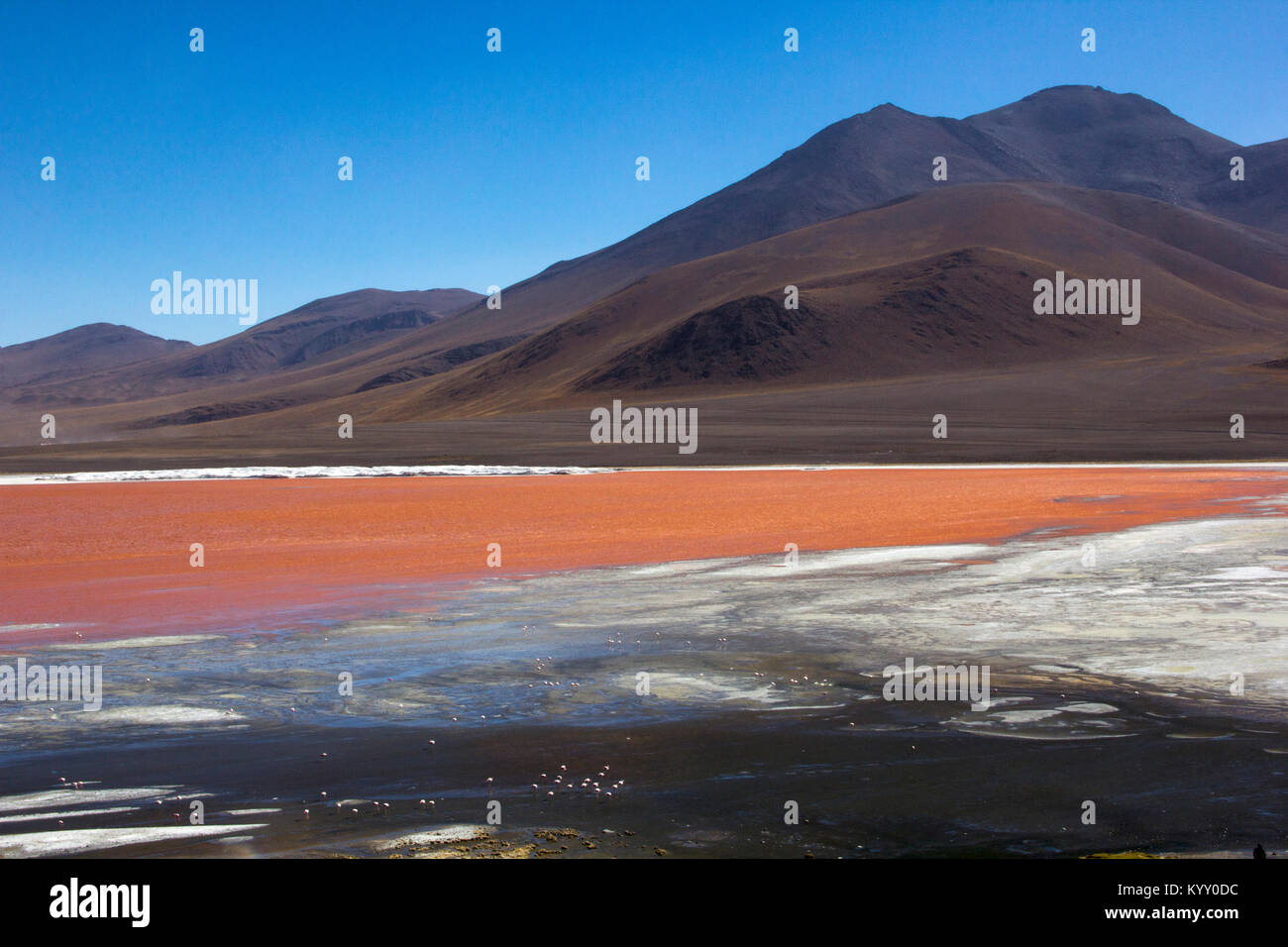 Scenic view of Salar de Uyuni against mountains Stock Photo - Alamy