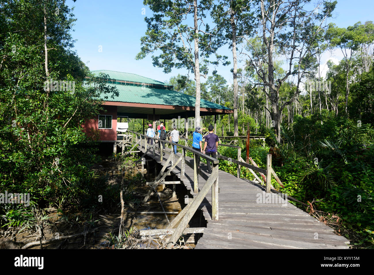 Boardwalk at Labuk Bay, the Proboscis Monkey Sanctuary near Sandakan ...