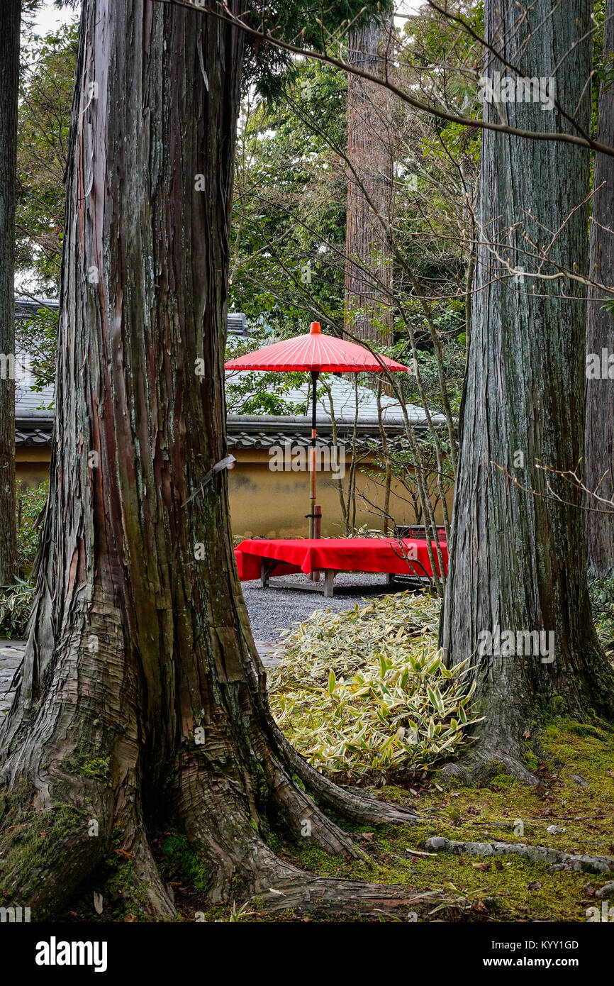 Ancient Japanese garden with huge trees and relaxing chairs Stock Photo ...