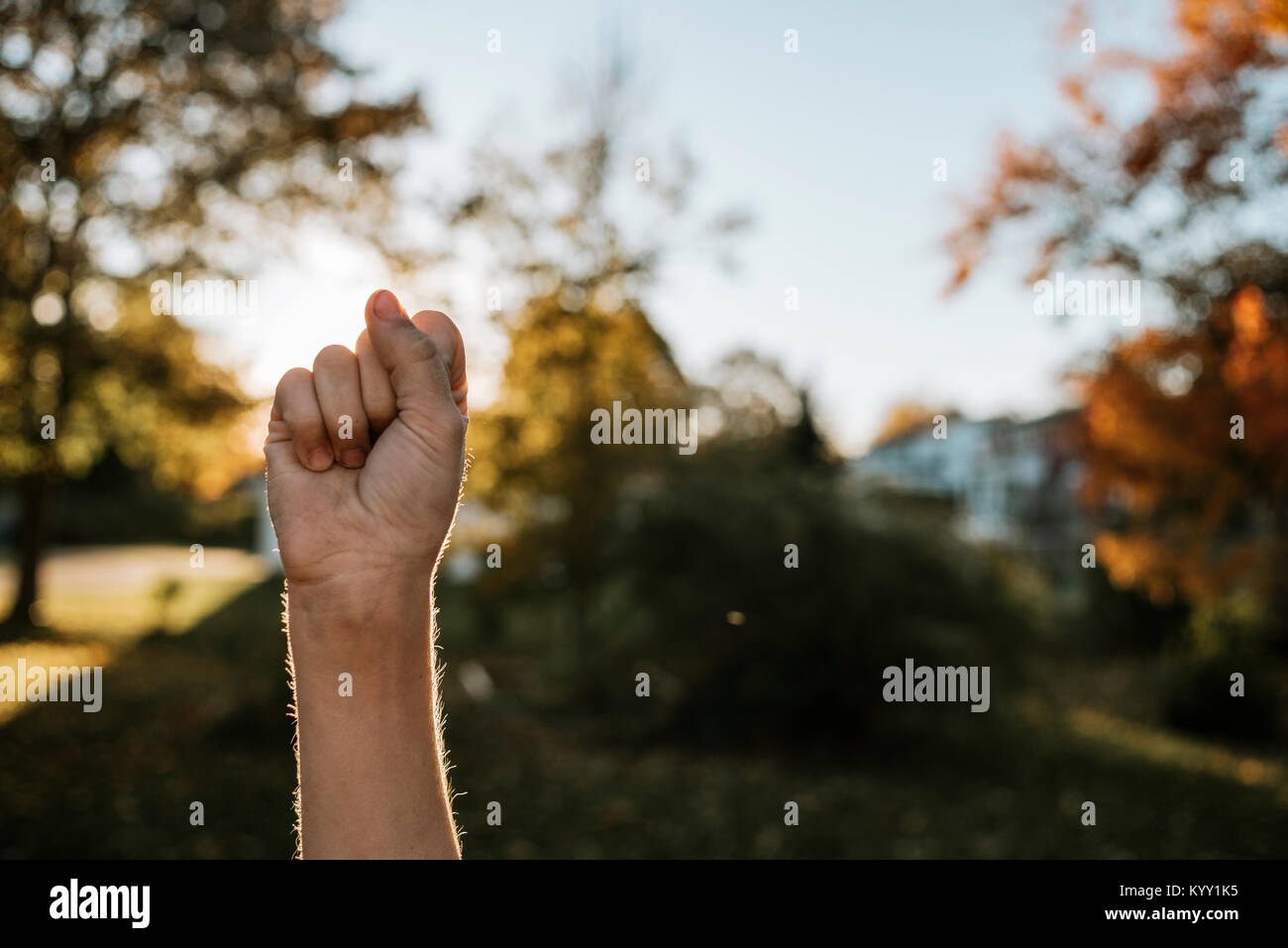 Cropped hands of boy making fist at yard Stock Photo - Alamy