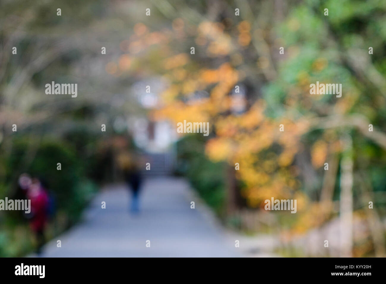 Blurred of nature background. Road in Japanese garden Stock Photo - Alamy