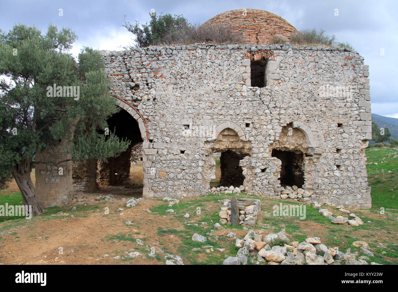 Mosque of the olive tree mosque hi-res stock photography and images - Alamy