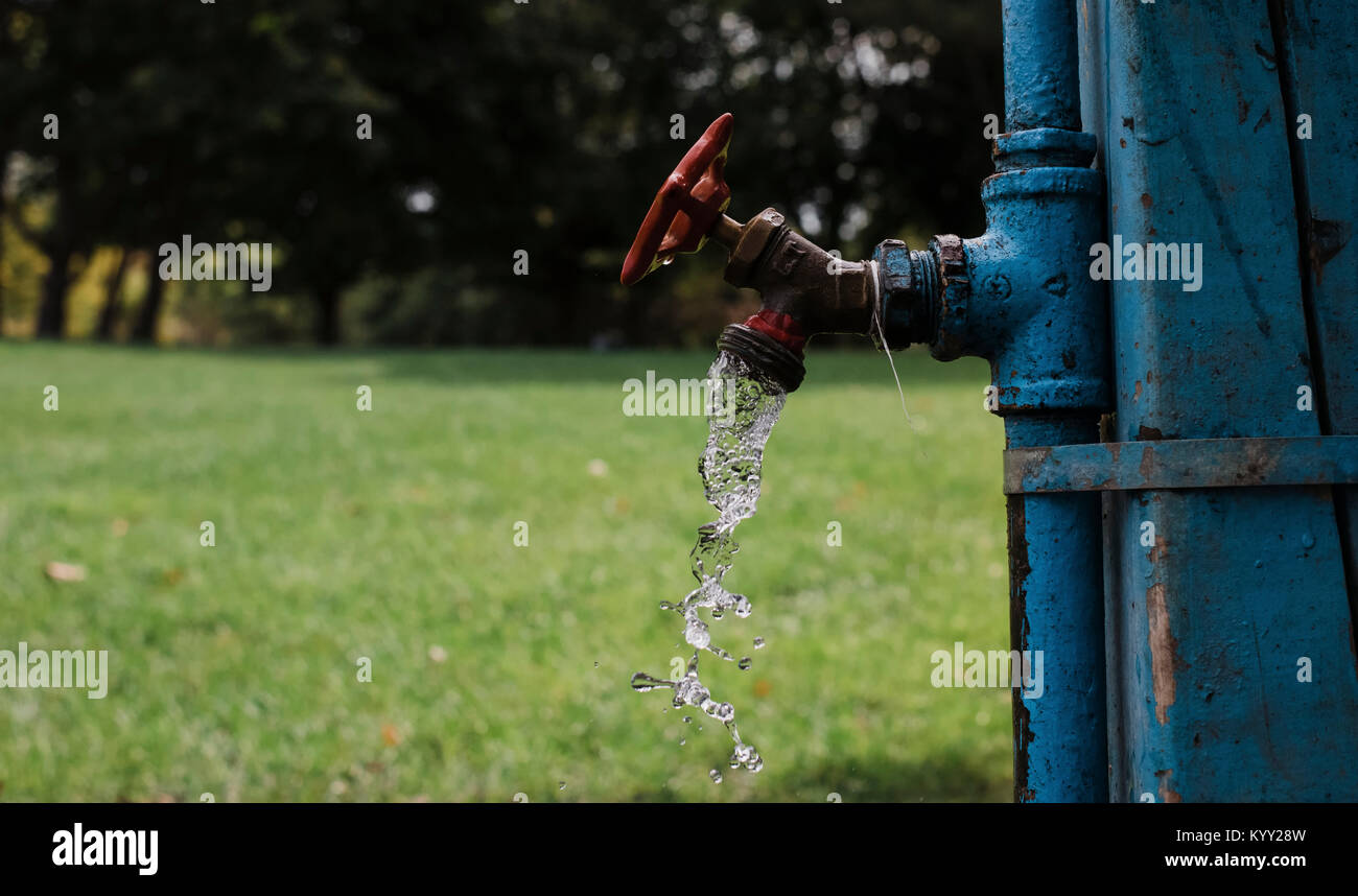 Close-up of water running from metal tap against grassy field at yard ...