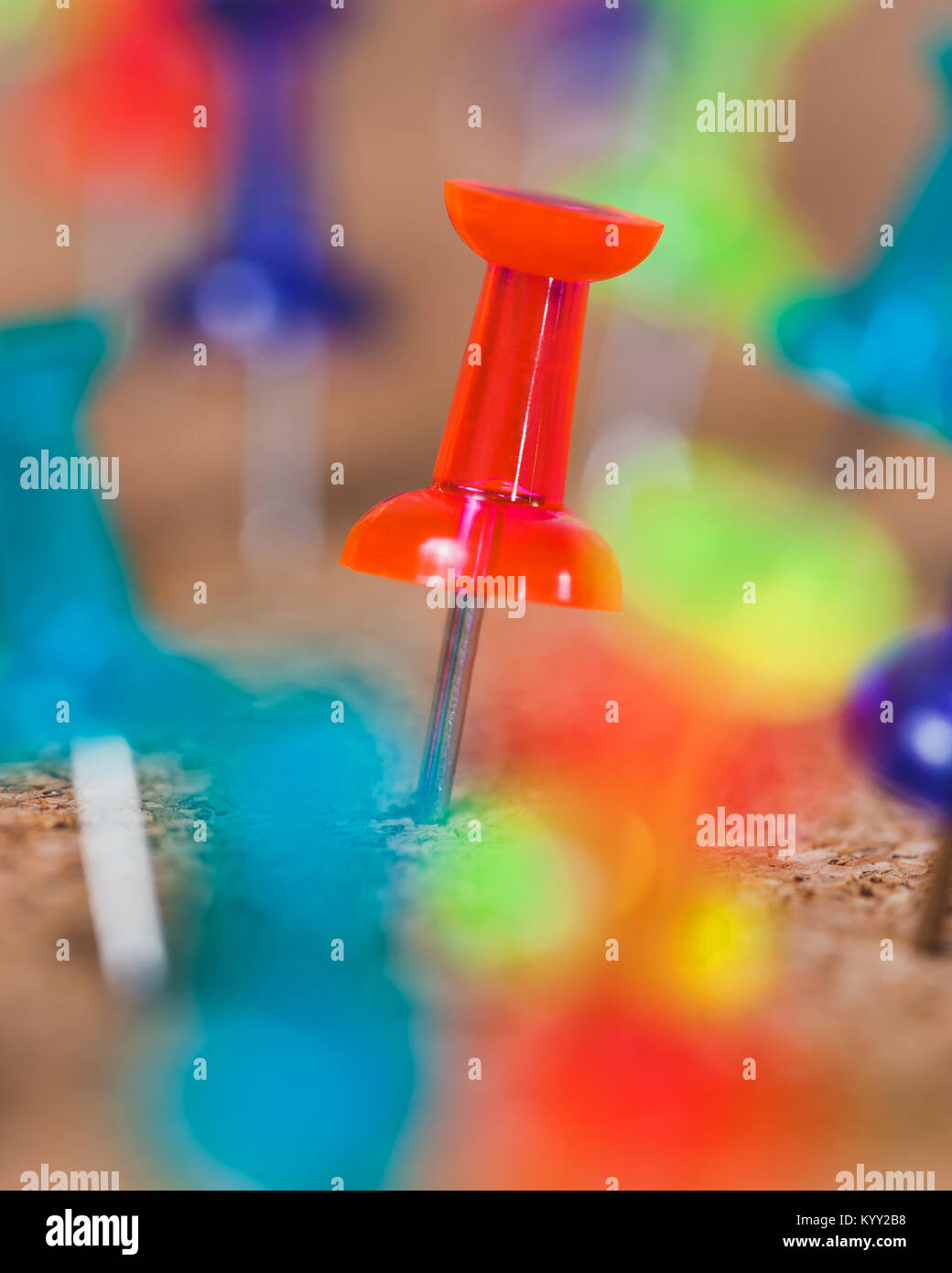 cork board with plastic pins Stock Photo - Alamy