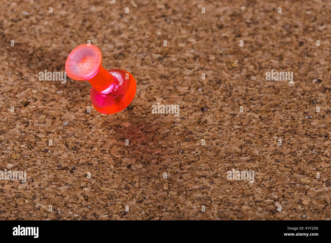 cork board with plastic pins Stock Photo - Alamy