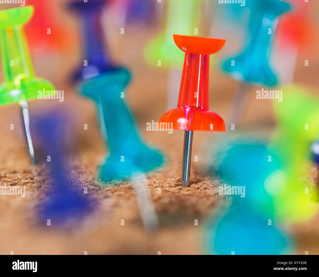 cork board with plastic pins Stock Photo - Alamy