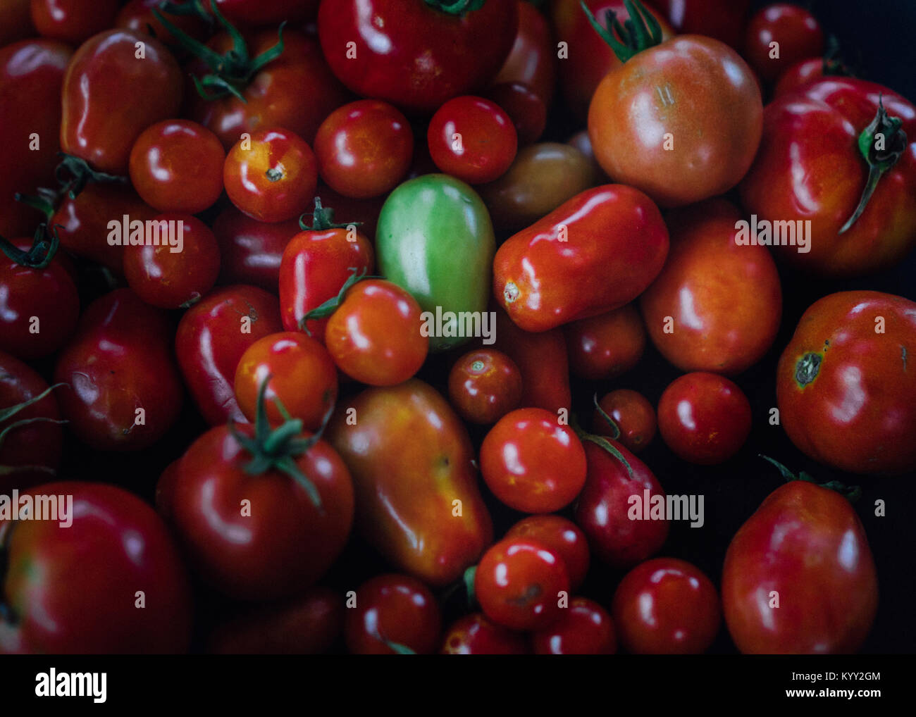 Shiny tomatoes hi-res stock photography and images - Alamy
