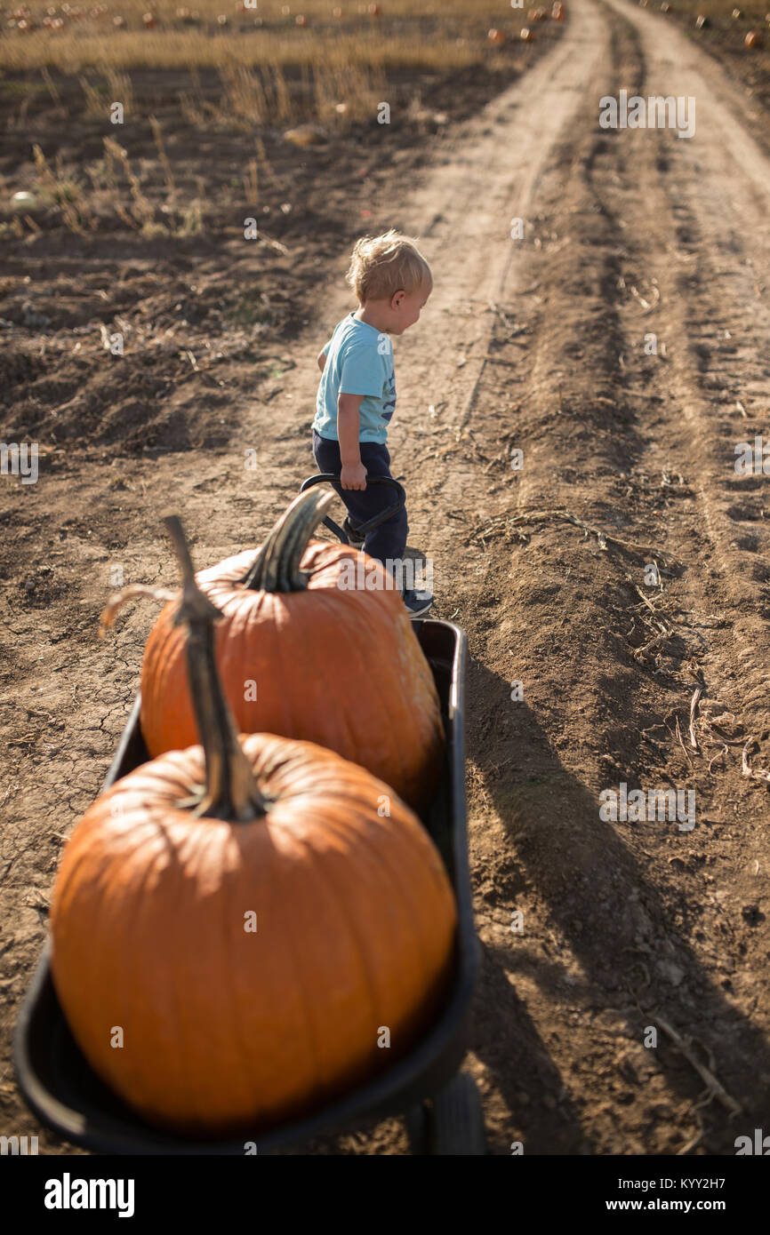 Pulling wheelbarrow hi-res stock photography and images - Alamy