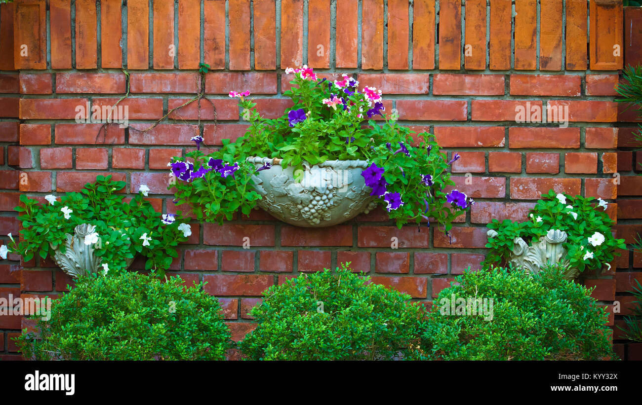 Flowers in a flower pod Stock Photo - Alamy