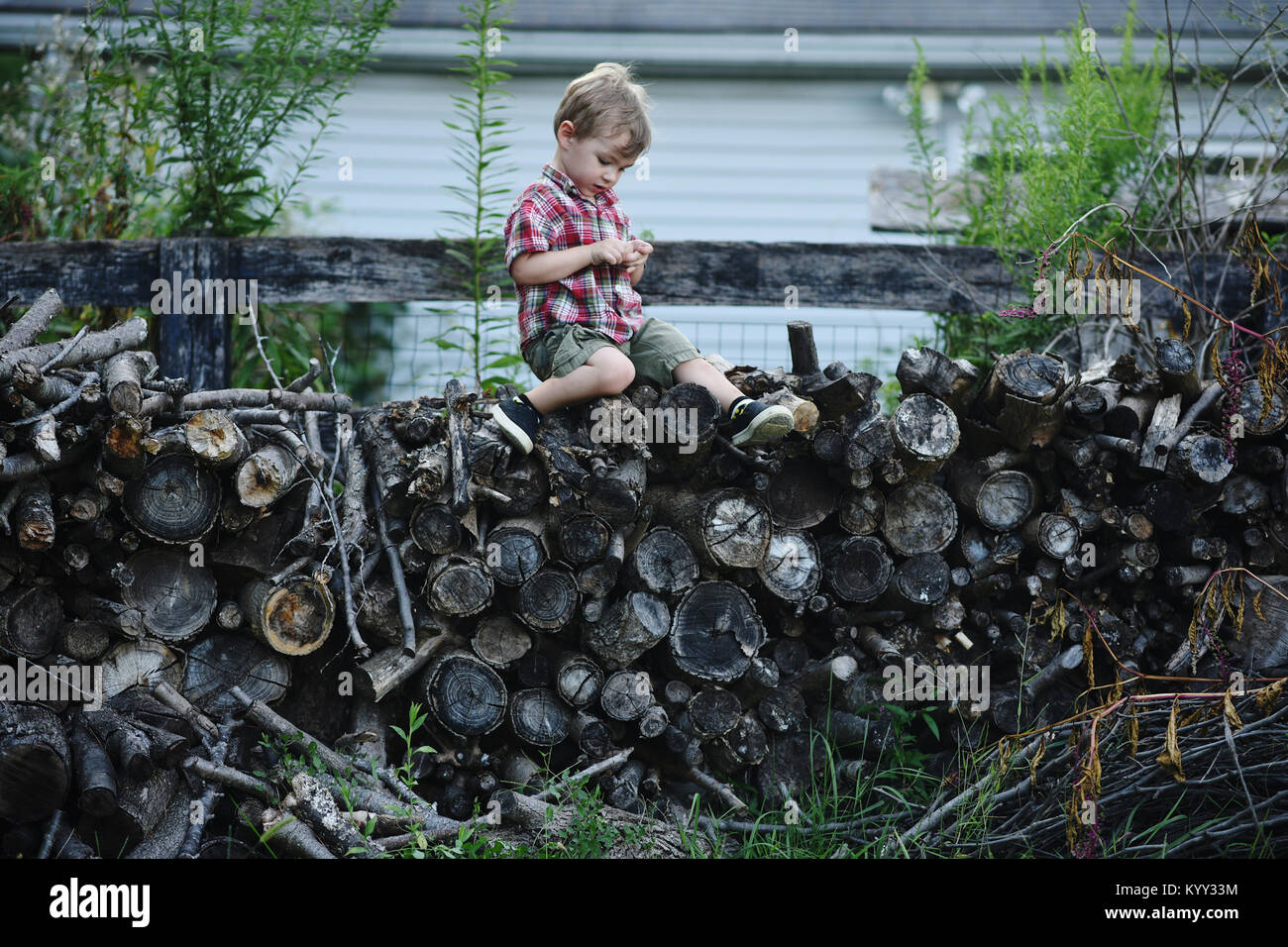 Full length logs hi-res stock photography and images - Alamy