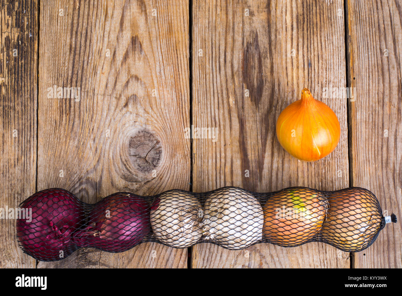 Onion in net for storage. Studio photo Stock Photo - Alamy