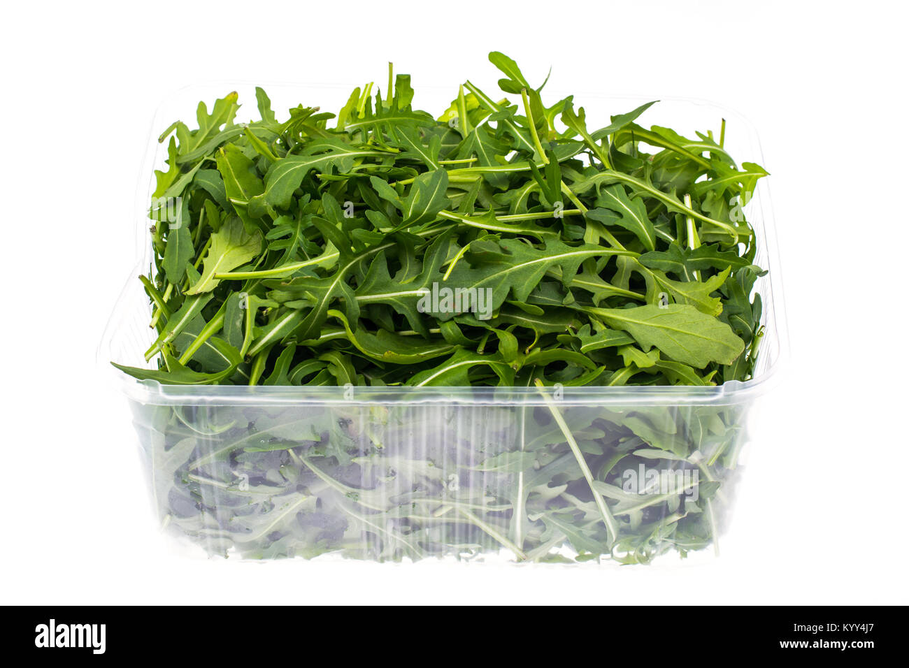 Fresh green arugula in container. Studio Photo Stock Photo - Alamy