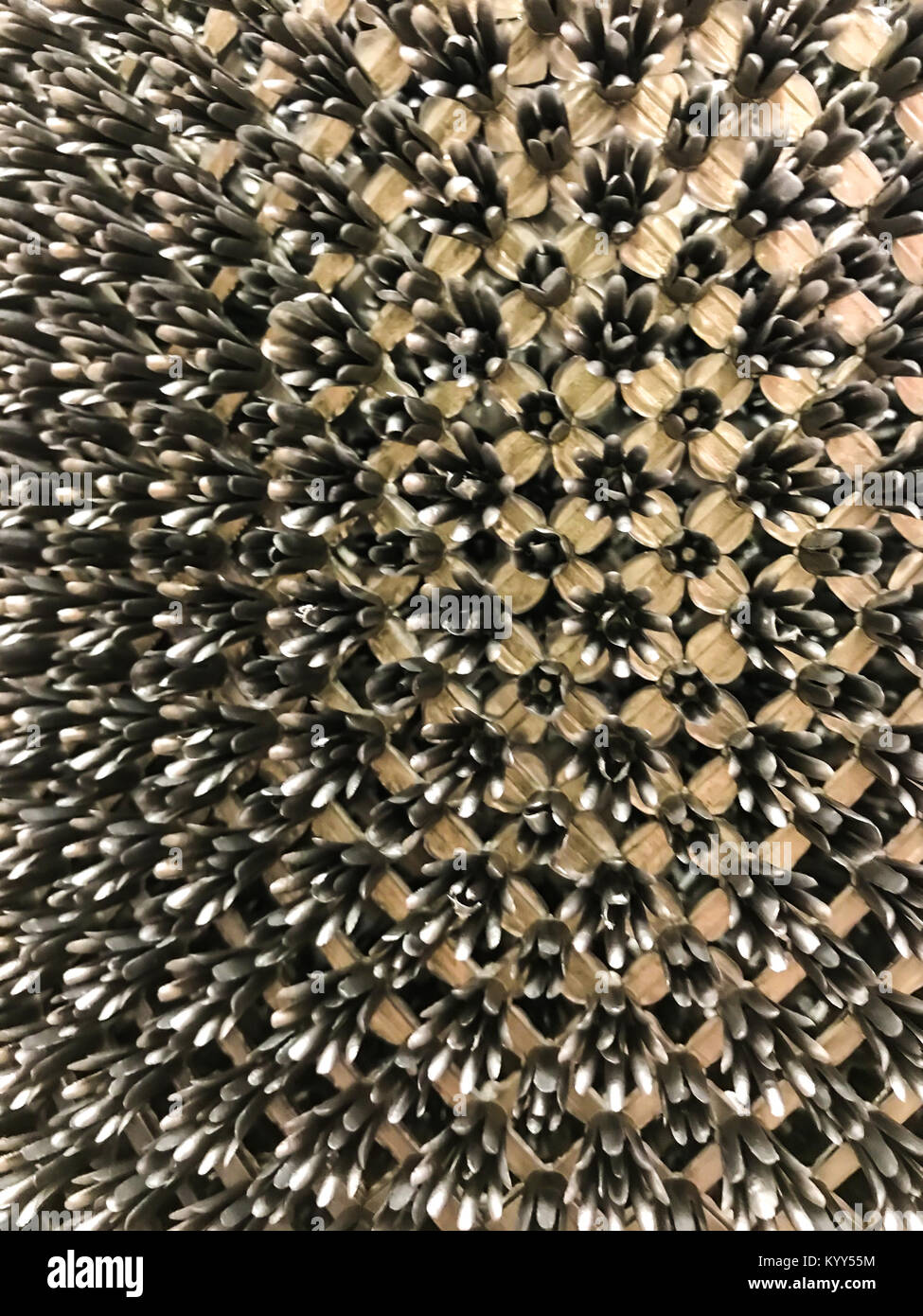 Texture of plastic coating. Studio Photo Stock Photo - Alamy